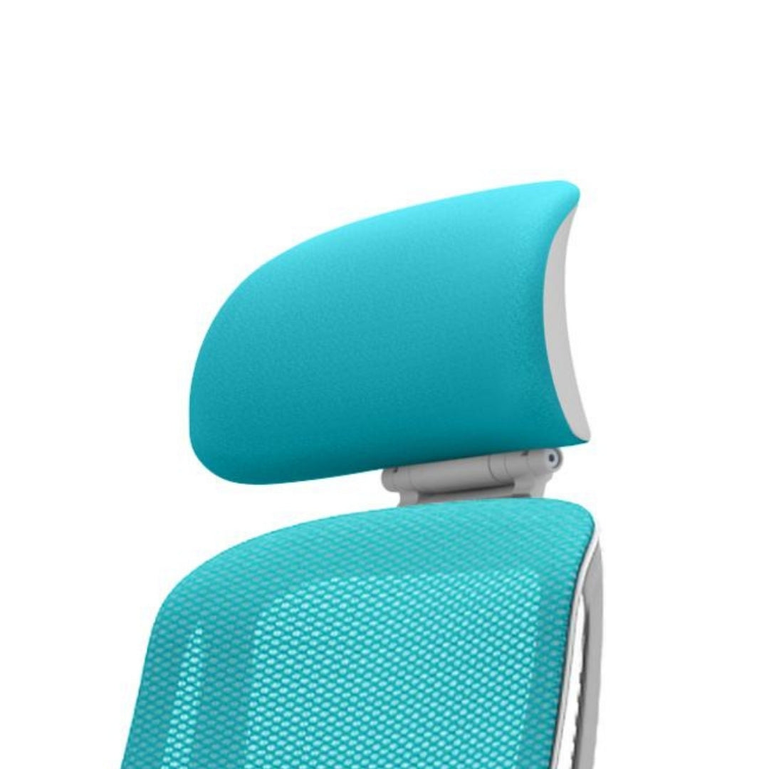 Sylphy – OKAMURA Lifestyle Store