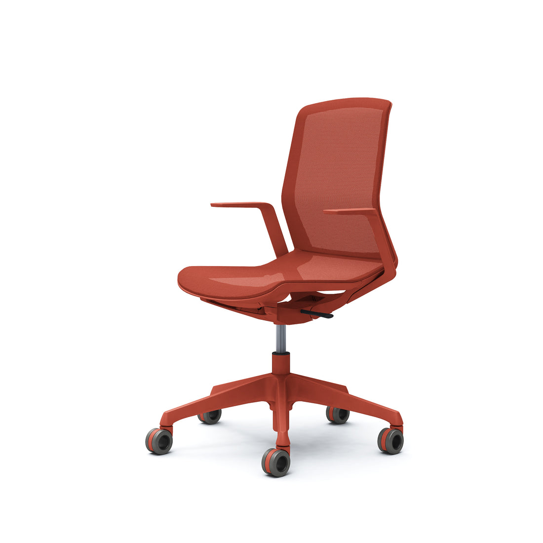 CYNARA[シナーラ] – OKAMURA Lifestyle Store